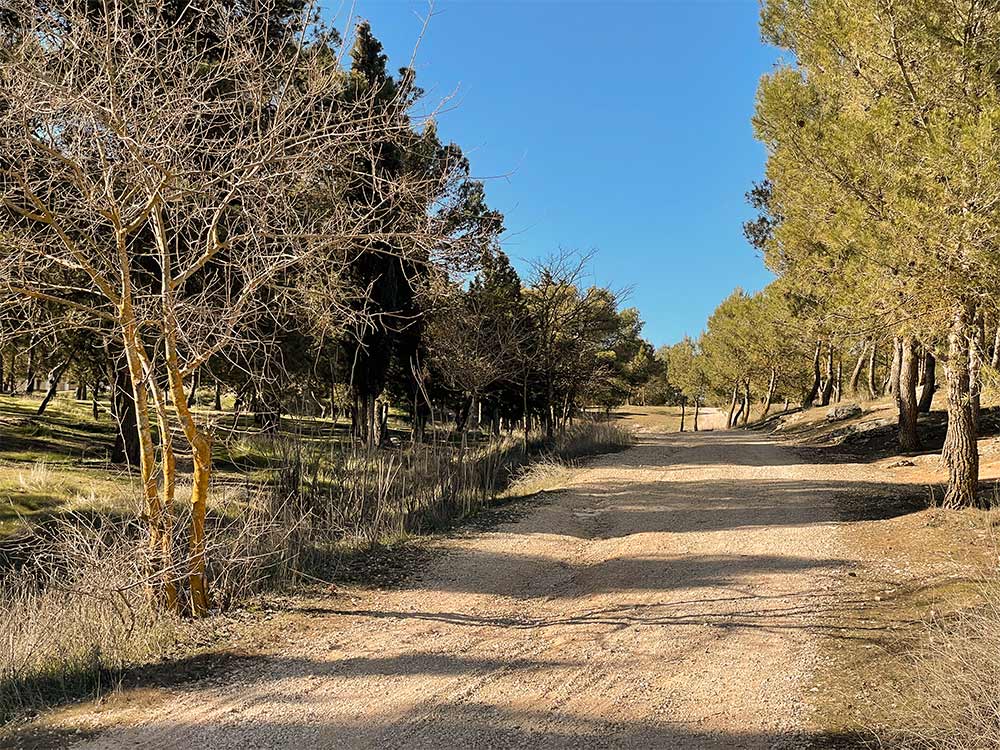 Ruta de los Senderos - Tierra de Gigantes
